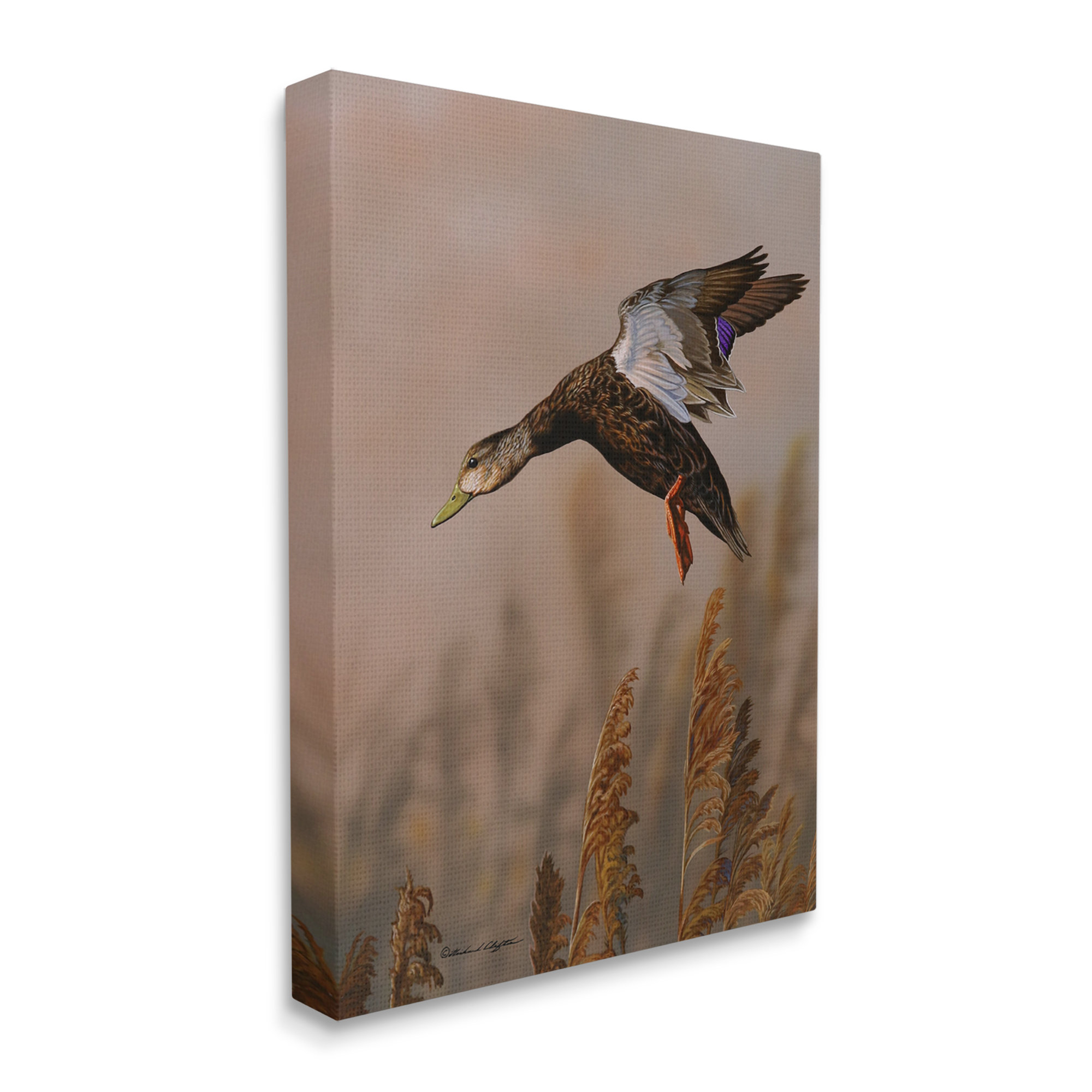 Winston Porter Duck Flying Photography On Canvas by © Richard Clifton Print | Wayfair